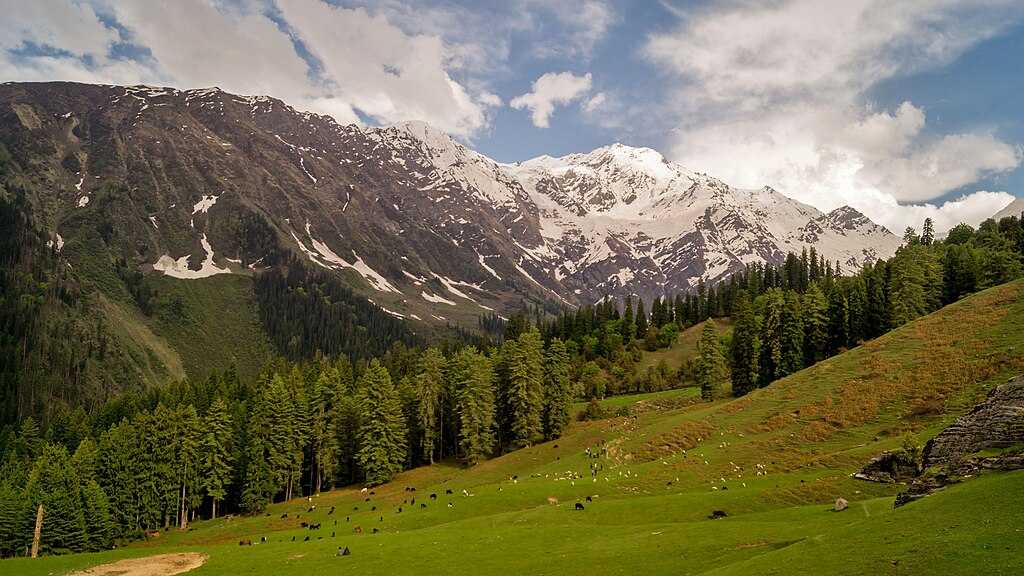 Manali in Summer: 13 Best Places to Visit & Things to Do