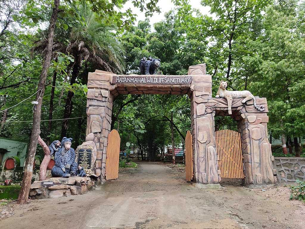 Ratanmahal Sloth Bear Sanctuary | Wildlife, Images
