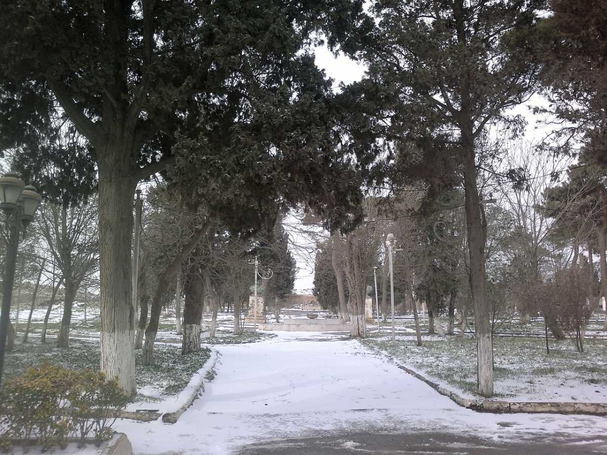 11 Parks In Baku To Spend A Relaxing Evening - Holidify