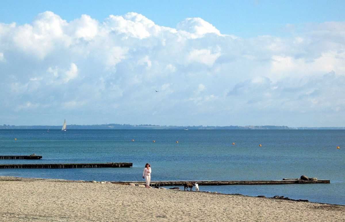6 Best Beaches in Copenhagen