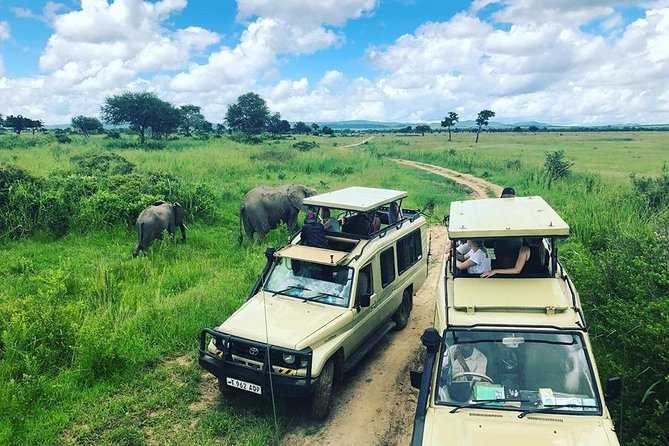 Mikumi National Park Tourism (2026) - Tanzania > Top Places, Travel ...
