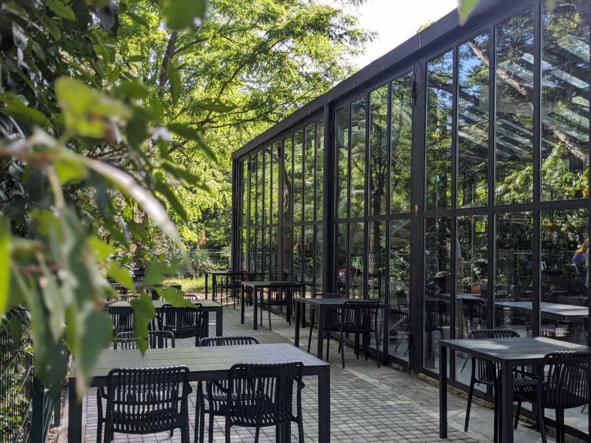 11 Cafes in Tbilisi to Spend a Cozy Evening - Holidify