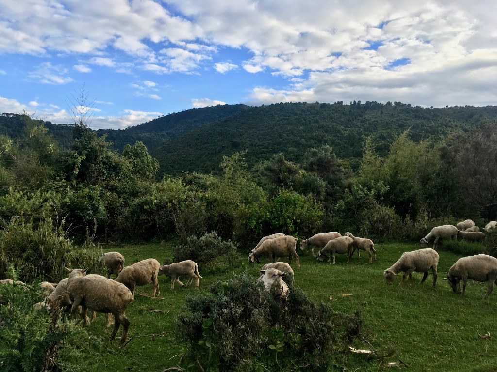 15 Mountains in Kenya
