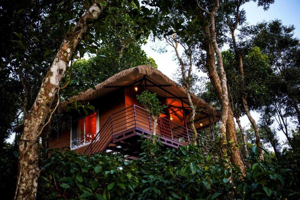 10 Tree Houses In Wayanad (2024) | Updated Deals, Latest Reviews, Photos
