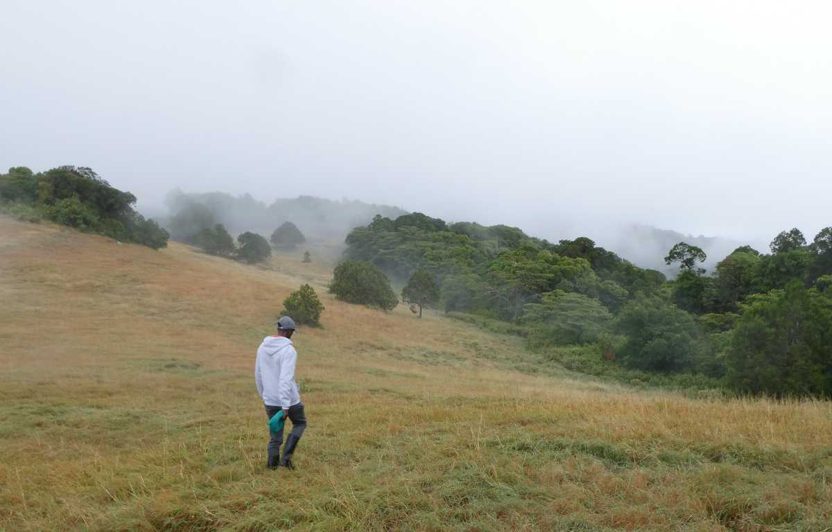 15 Mountains in Kenya