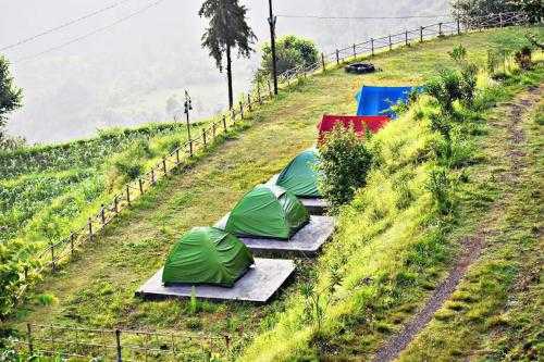 Camping In Mussoorie | Book from 11 Stay Options @Best Price
