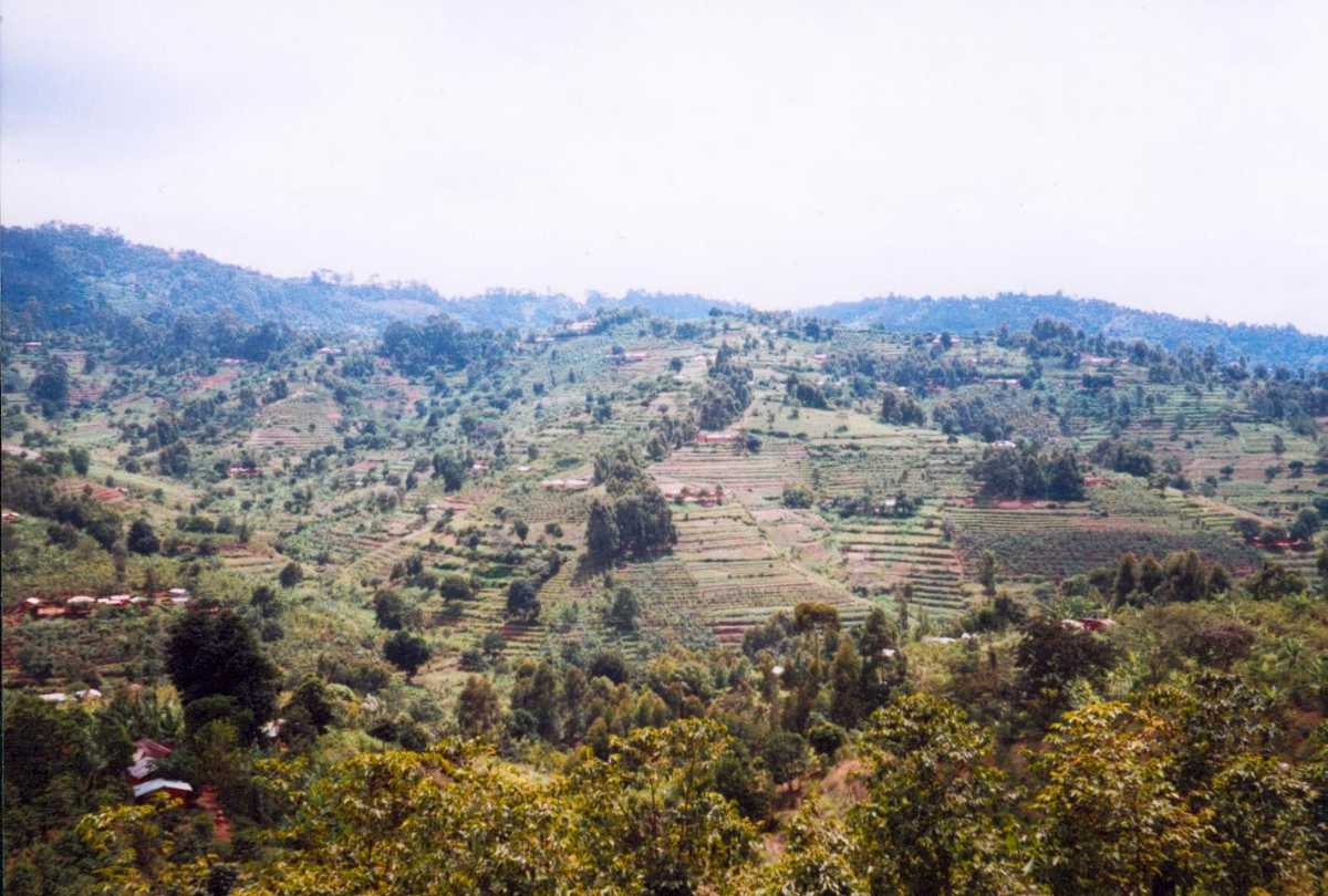 15 Major Cities in Kenya