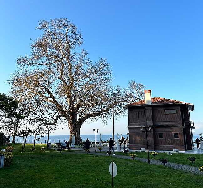 10 Hot Water Springs in Turkey - Holidify