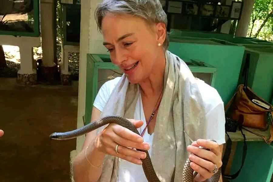 Malindi Tourism (2025) - Kenya > Top Places, Travel Guide | Holidify