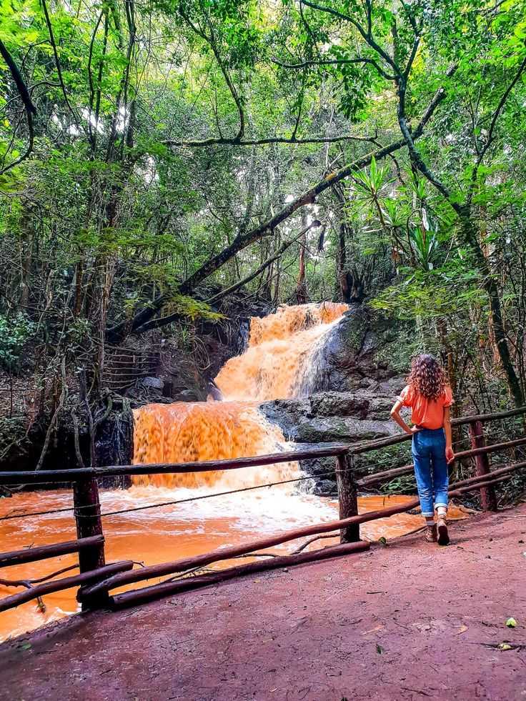 Karura Forest Tourism (2025) - Kenya > Top Places, Travel Guide | Holidify
