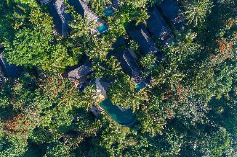56 Best Resorts In Ubud (2024)| Latest Offers, Photos