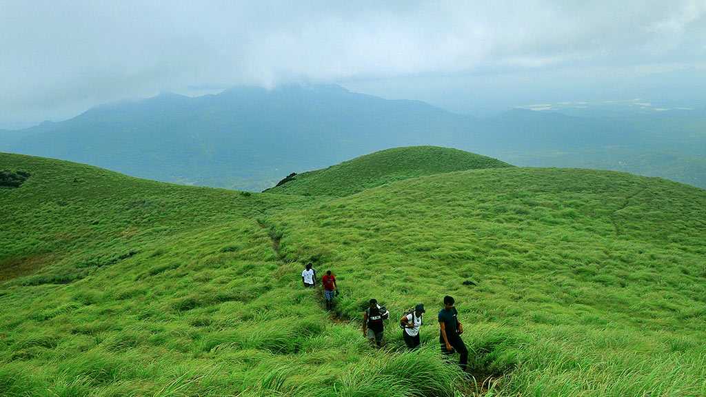 9 Trekking in Wayanad : Top Treks in Wayanad