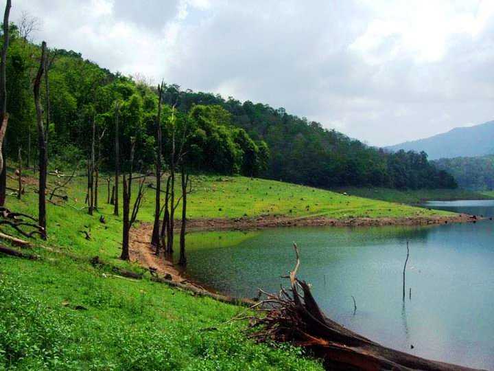 Chimmini Wildlife Sanctuary, Thrissur (2024) - Images, Timings | Holidify