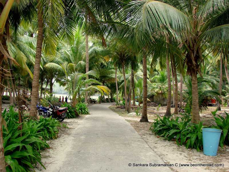 Kalpeni Island, Lakshadweep (2026) - Images, Timings | Holidify