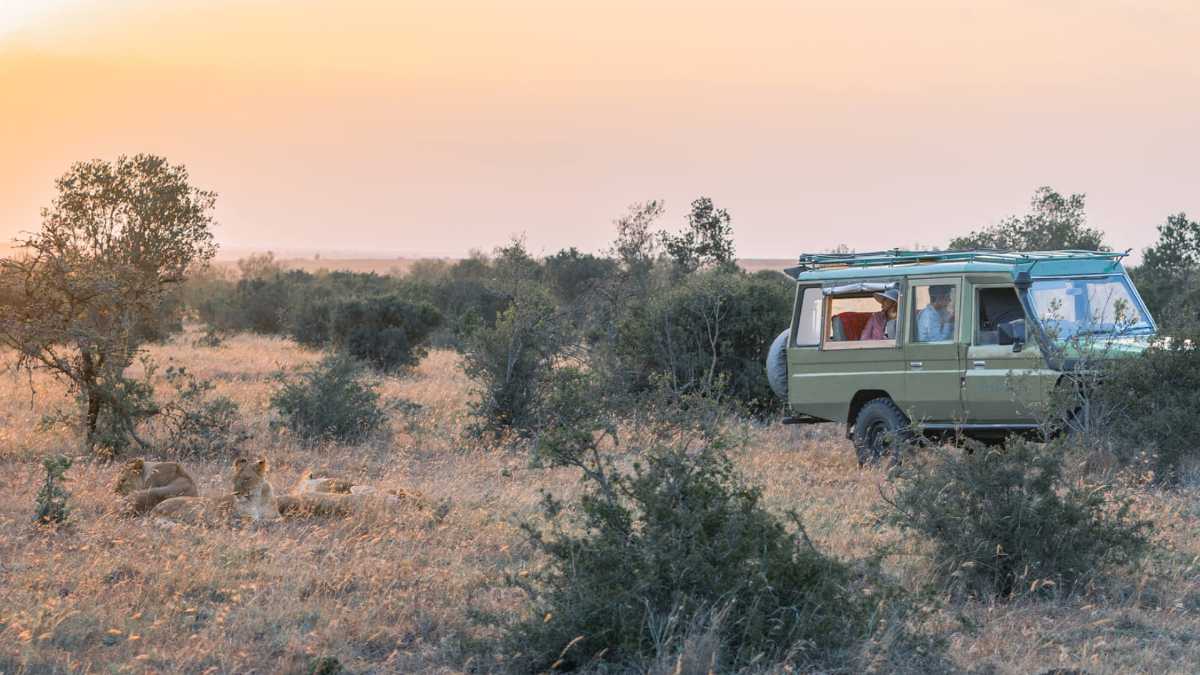 Ol Pejeta Conservancy Tourism (2026) - Kenya > Top Places, Travel Guide ...