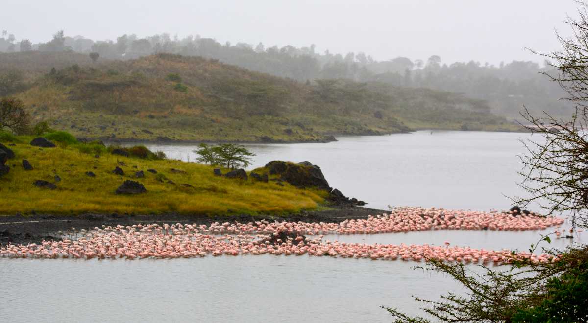 Arusha National Park Tourism (2026) - Tanzania > Top Places, Travel ...