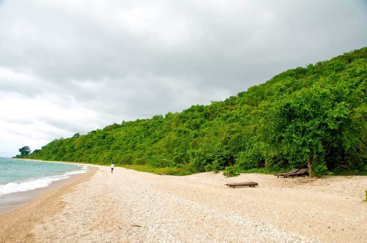 Gombe Stream National Park Tourism (2026) - Tanzania > Top Places ...