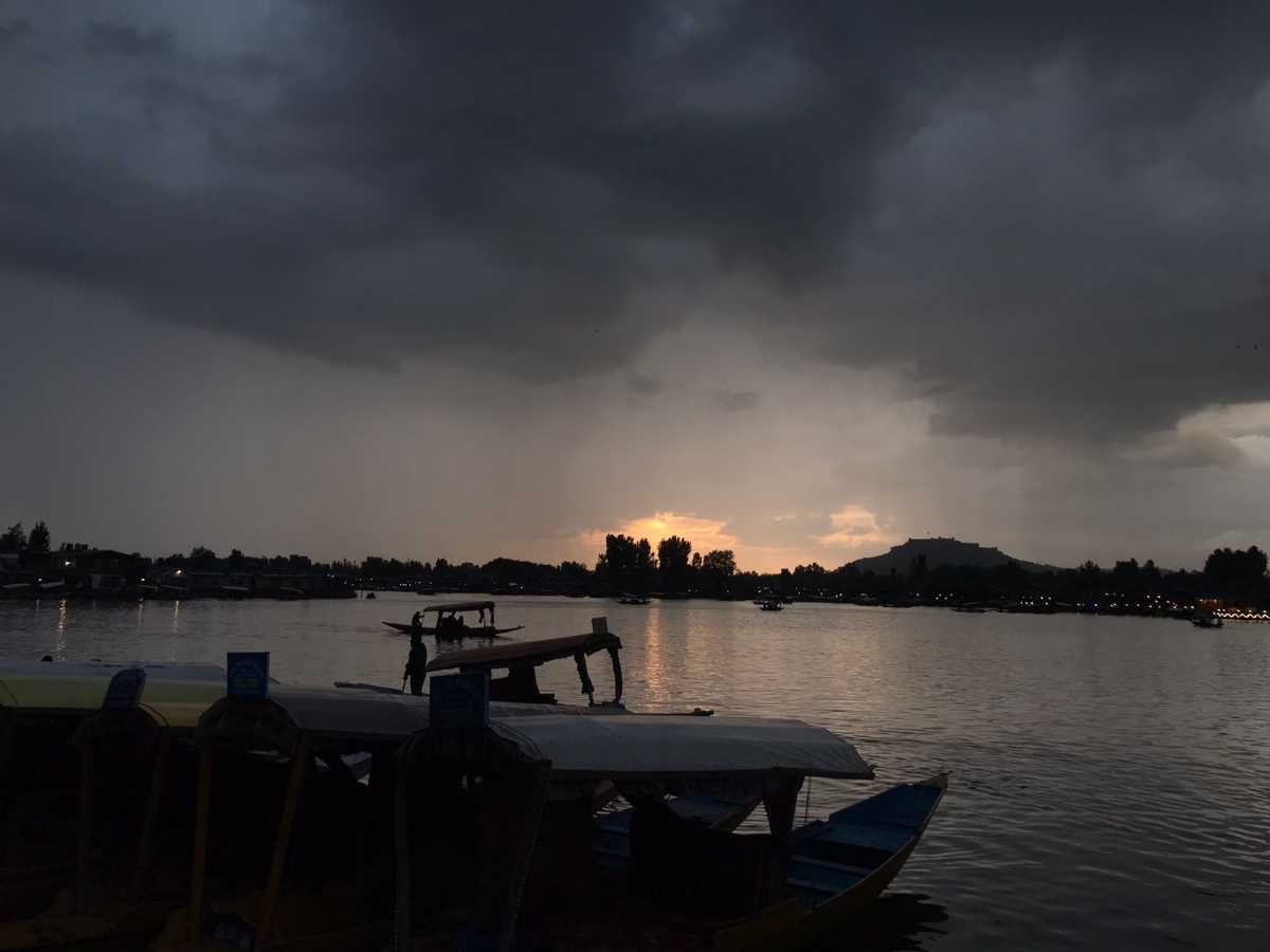 Al Daheem Tour And Travels - Profile, Reviews & Ratings