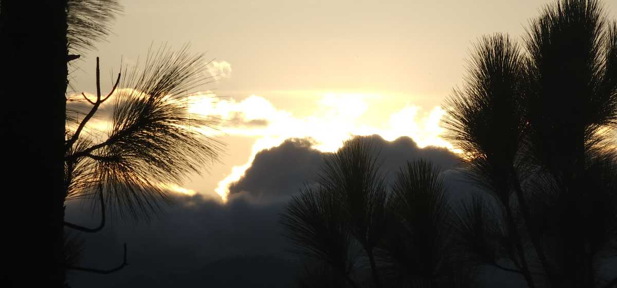 The Insight Trips - Profile, Reviews & Ratings