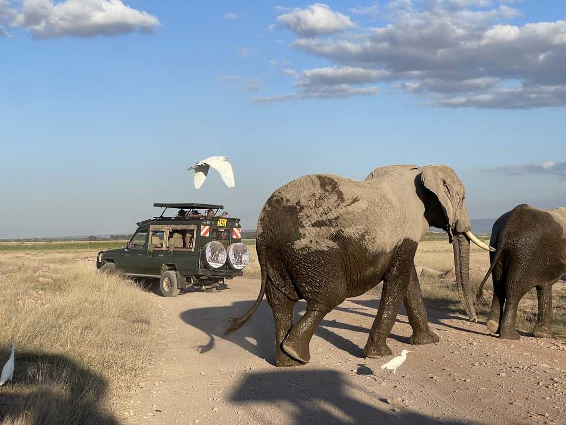 Hell's Gate National Park Tour Packages | Book Best Deals Upto 30% Off