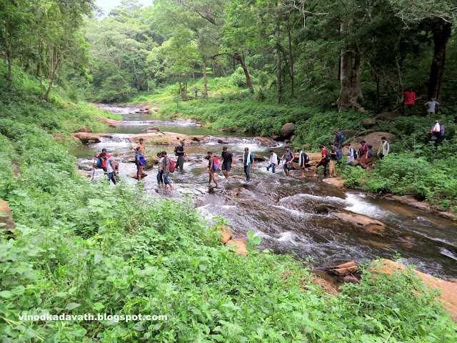 Vazhani Wildlife Sanctuary, Palakkad (2026) - Images, Timings | Holidify