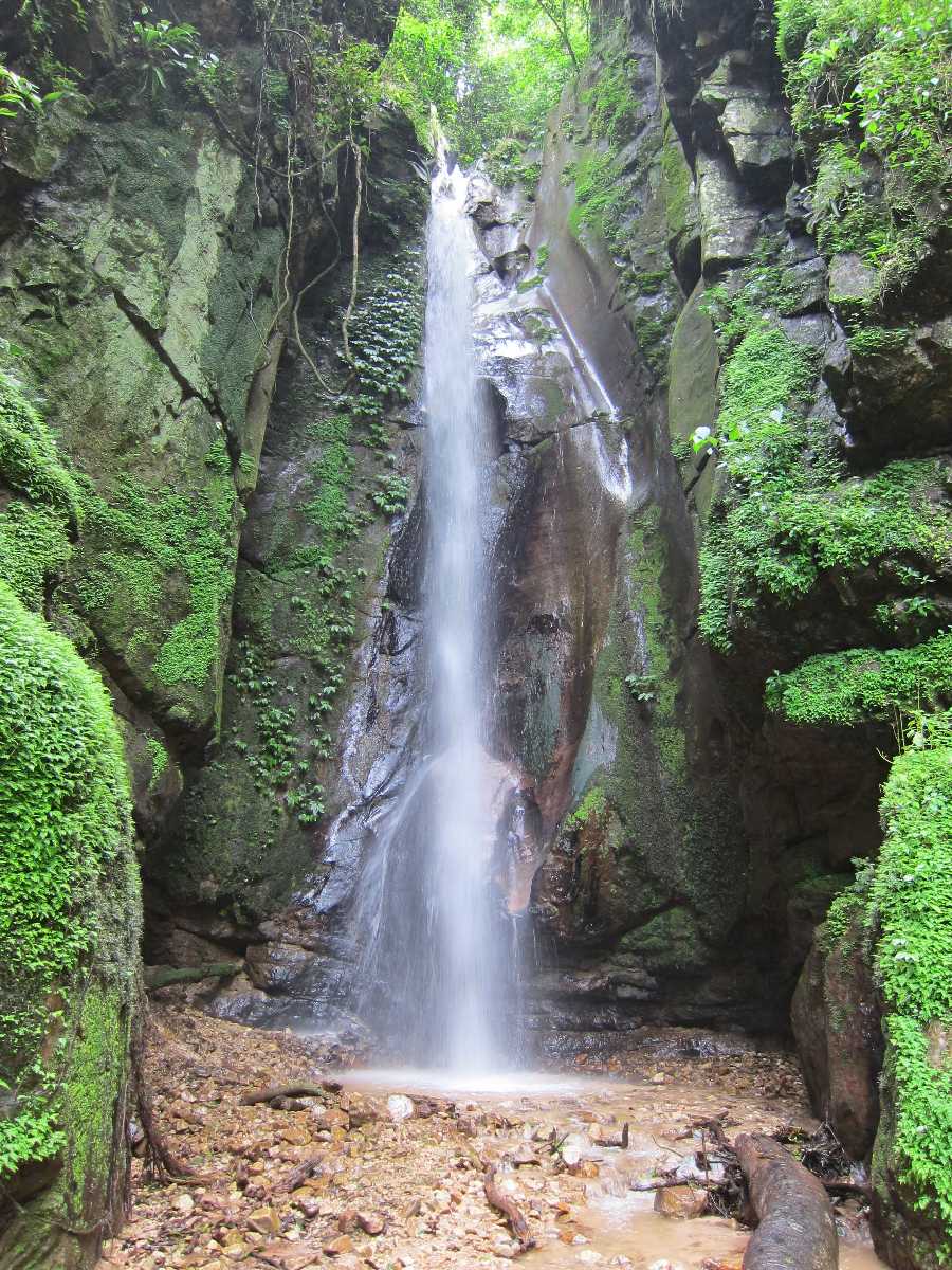 Gombe Stream National Park Tourism (2026) - Tanzania > Top Places ...