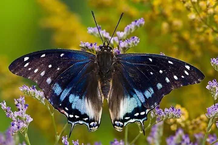 Watamu Tourism (2025) - Kenya > Top Places, Travel Guide | Holidify