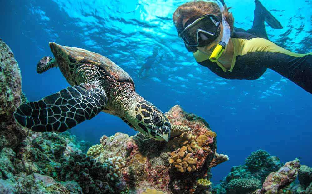 Lamu Island Tourism (2026) - Kenya > Top Places, Travel Guide | Holidify