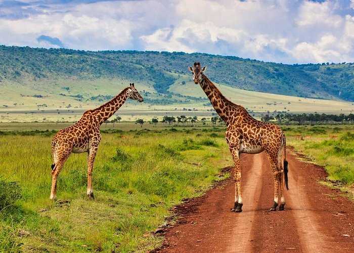 3 Days Maasai Mara Group Joining package