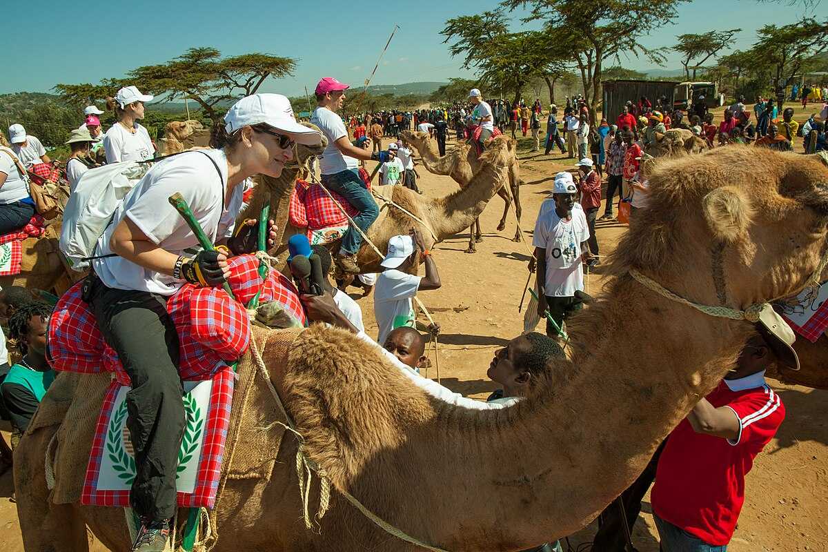 Kenya in August | Weather in Kenya in August | Holidify