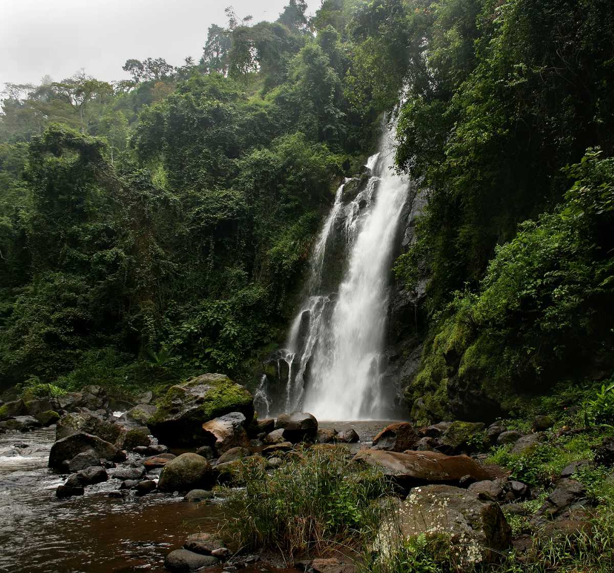 Kilimanjaro National Park Tourism (2026) - Tanzania > Top Places ...
