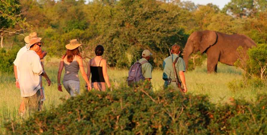 Tarangire National Park Tourism (2026) - Tanzania > Top Places, Travel ...