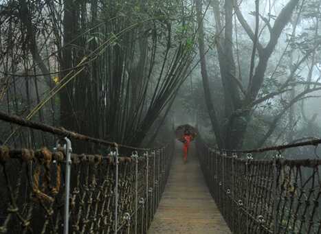 9 Trekking in Wayanad : Top Treks in Wayanad