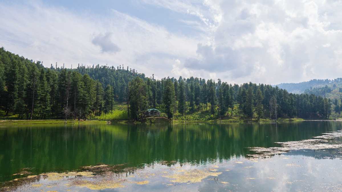 Yusmarg Tourism (2026) - India > Top Places, Travel Guide | Holidify
