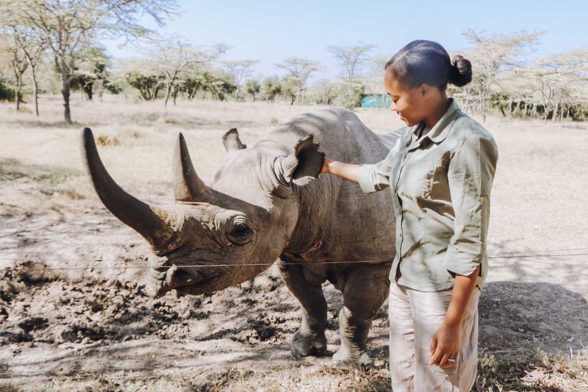 Ol Pejeta Conservancy Tourism (2026) - Kenya > Top Places, Travel Guide ...