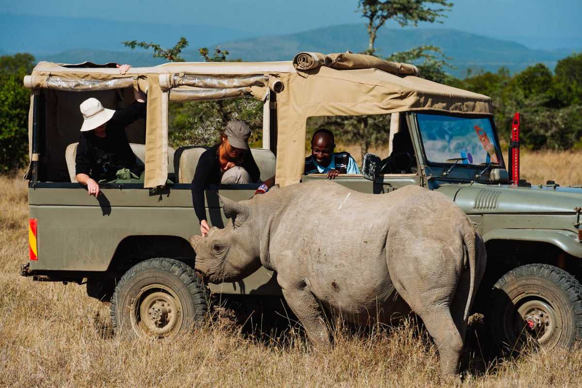 Ol Pejeta Conservancy Tourism (2026) - Kenya > Top Places, Travel Guide ...