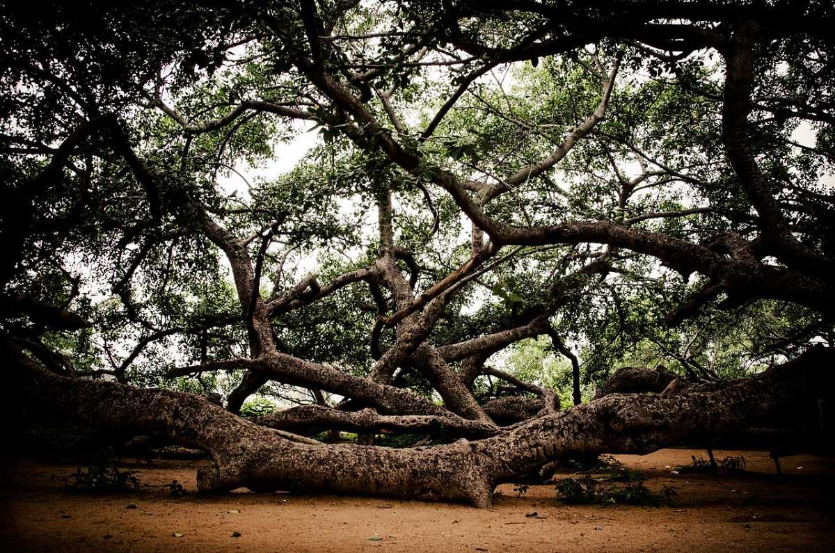 50 Weekend Getaways from Hyderabad | Places to Visit Near Hyderabad