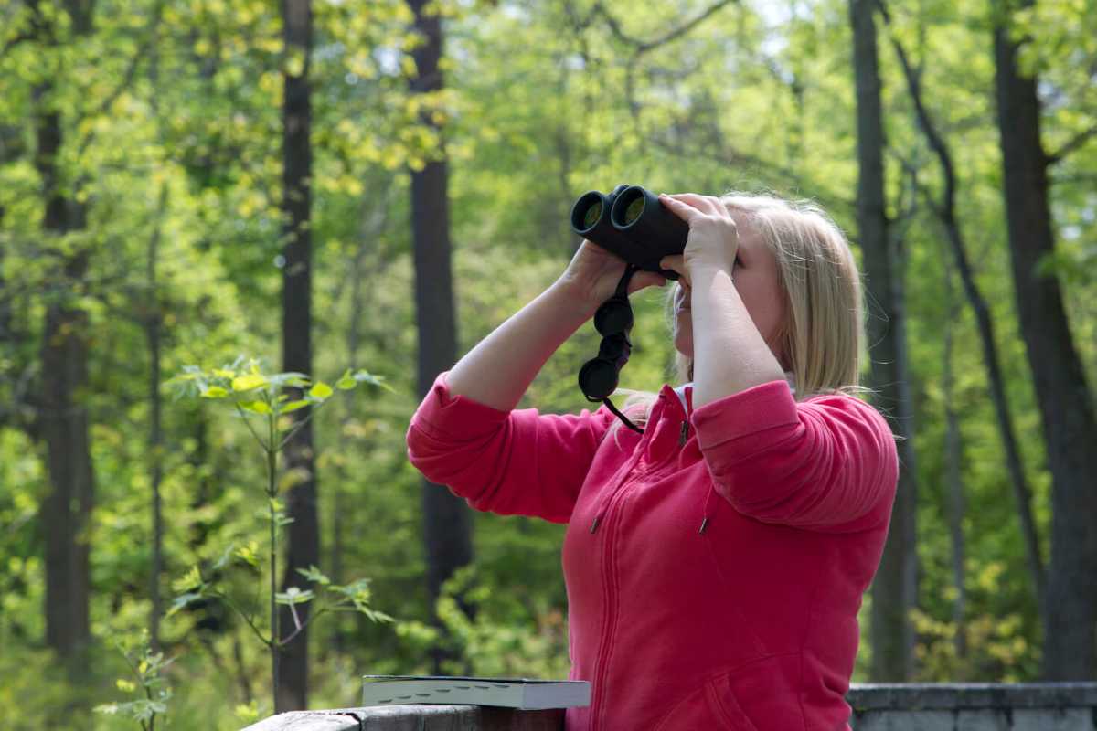 Daksum Tourism (2026) - India > Top Places, Travel Guide | Holidify