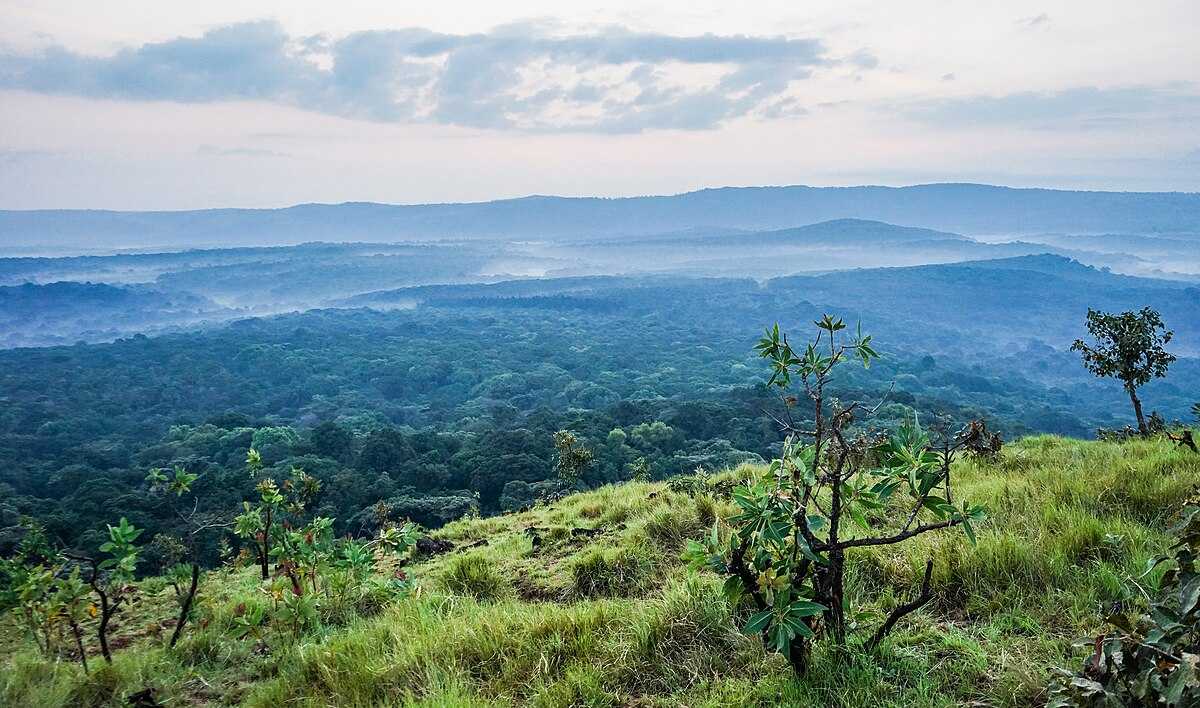 15 Major Cities in Kenya