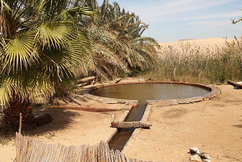 Siwa Tourism (2025) - Egypt > Top Places, Travel Guide | Holidify