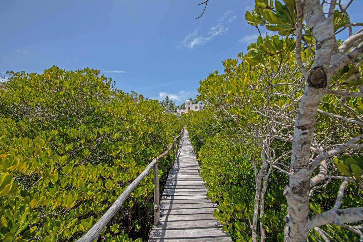 Watamu Tourism (2026) - Kenya > Top Places, Travel Guide | Holidify