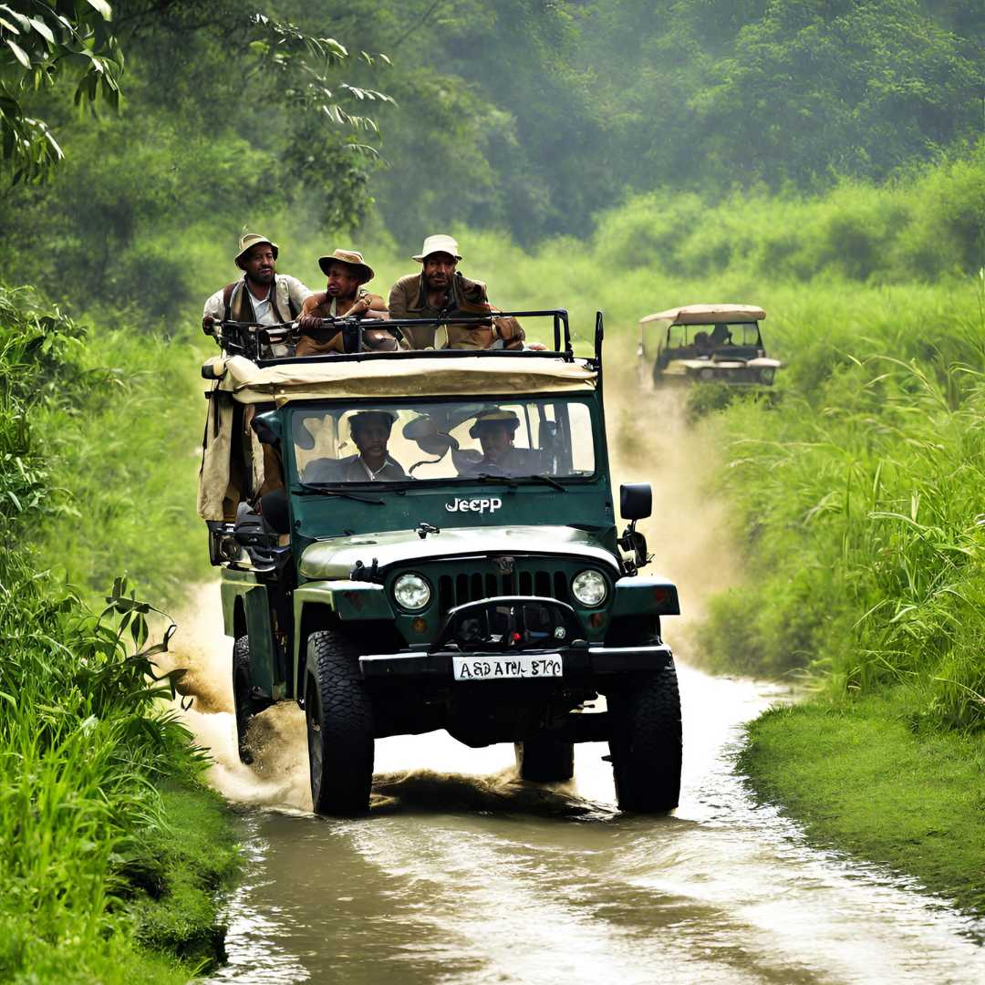 Assam Tour Packages | Book Best Deals Upto 30% Off