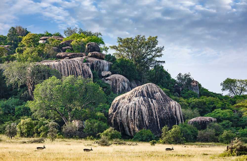 Serengeti National Park Tourism (2026) - Tanzania > Top Places, Travel ...