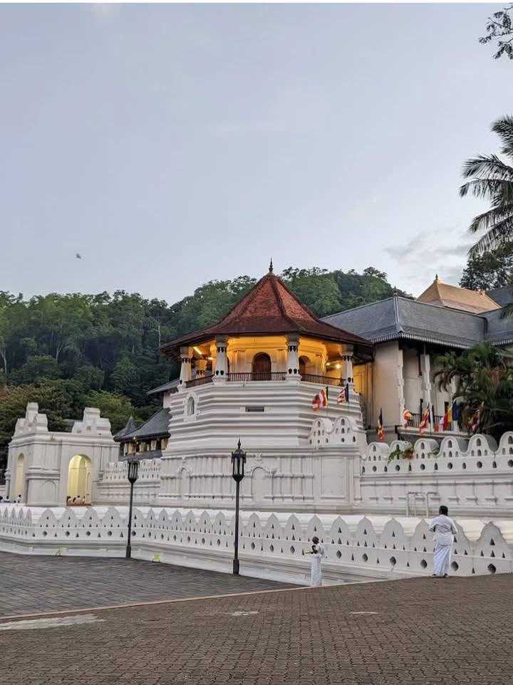 7-Day Sri Lanka Tour: Kandy, Nuwara Eliya, Ella, Galle ,Bentota & Colombo
