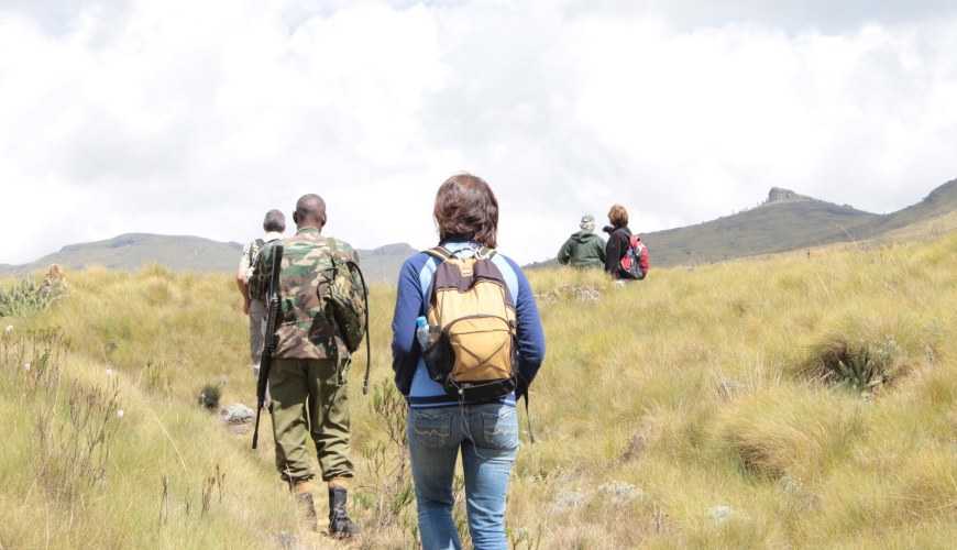 Aberdare National Park Tourism (2025) - Kenya > Top Places, Travel Guide | Holidify