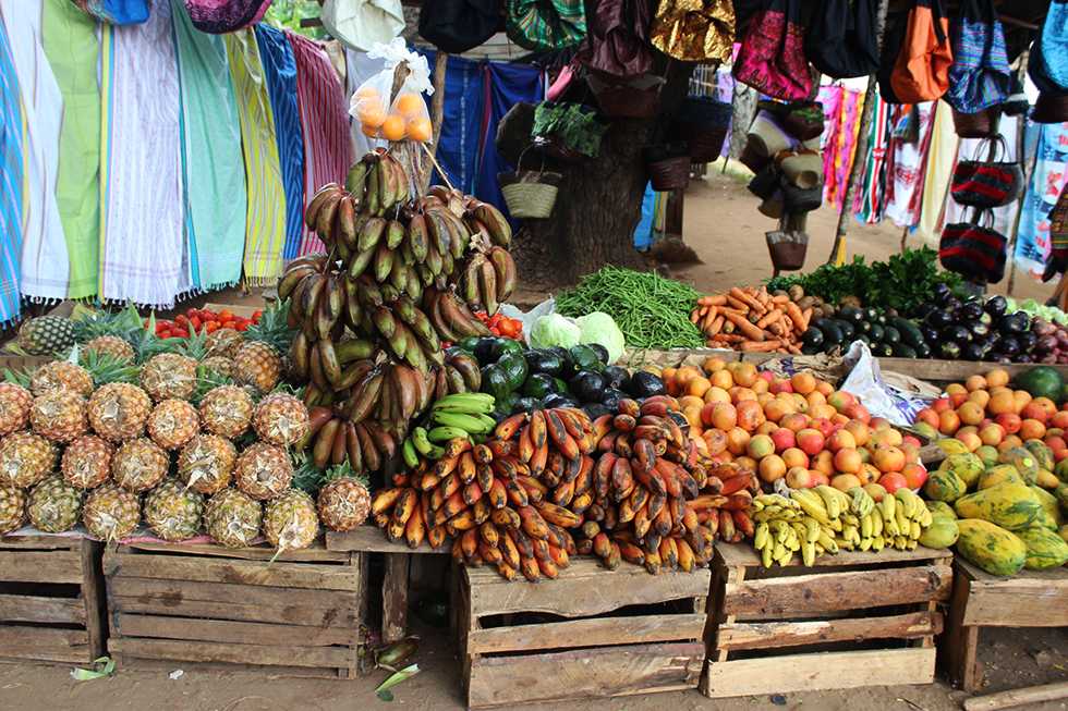 Malindi Tourism (2026) - Kenya > Top Places, Travel Guide | Holidify