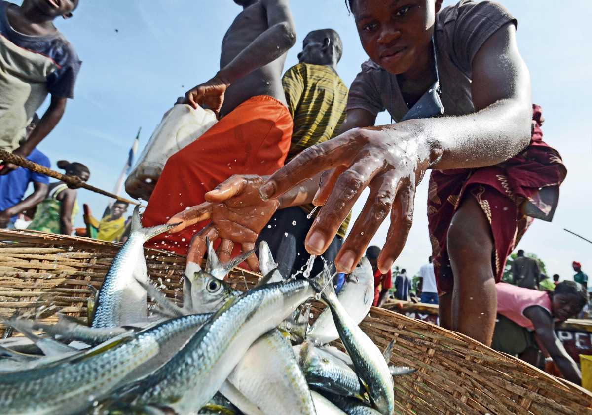 Lake Baringo National Park Tourism (2025) - Kenya > Top Places, Travel ...