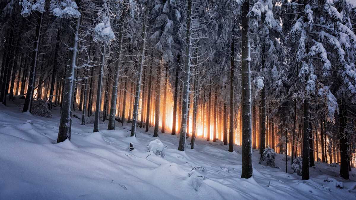 15 Beautiful Places in Germany