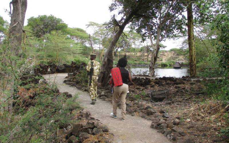 Mzima Springs, Tsavo West National Park (2025) - Images, Timings | Holidify