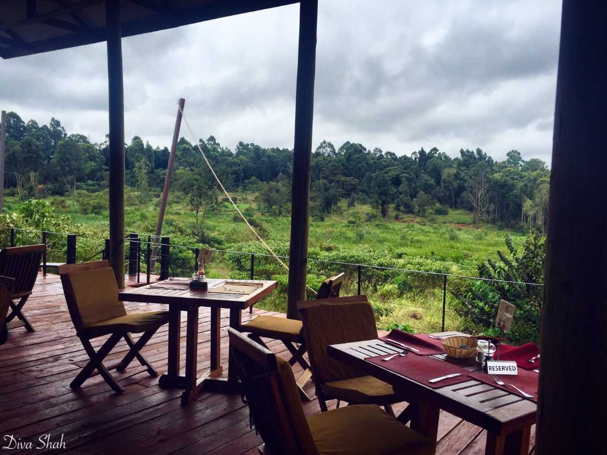 Karura Forest Tourism (2025) - Kenya > Top Places, Travel Guide | Holidify